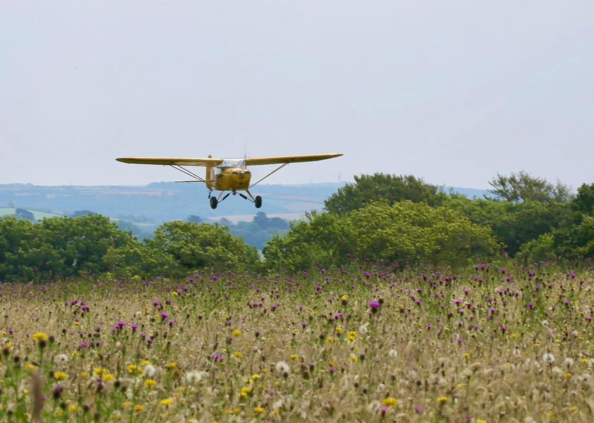 The Poetry Plane – Art Connexion